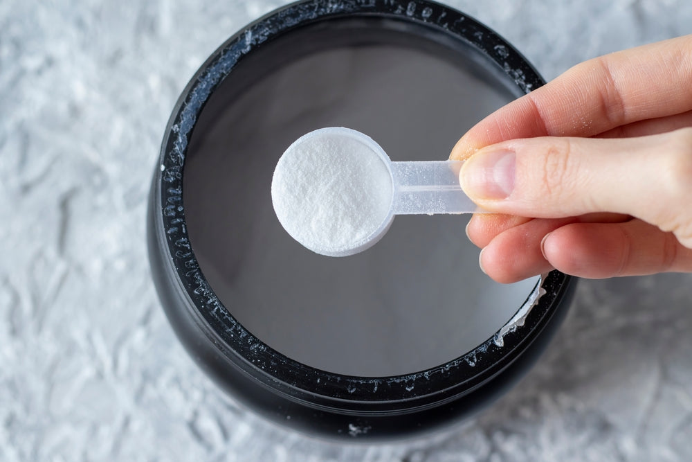 Creatine for Everyone: Boosting Health and Performance Beyond the Gym ...
